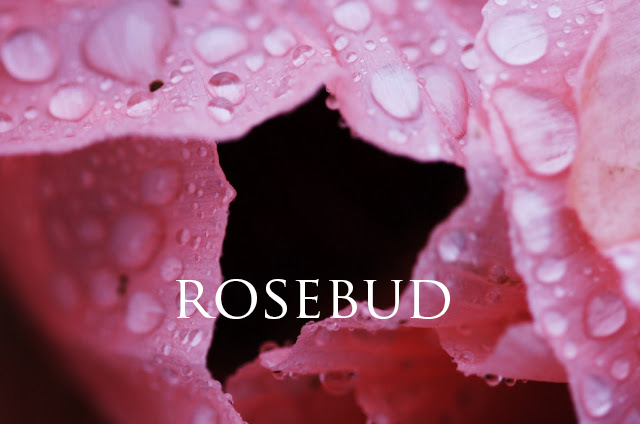 Rosebud